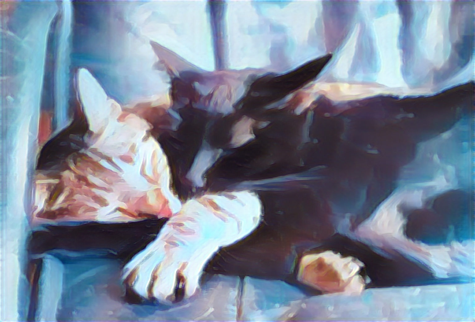 Cat Holidays in February 🐾 Spay & Neuter Awareness + Fun Cat Days ...