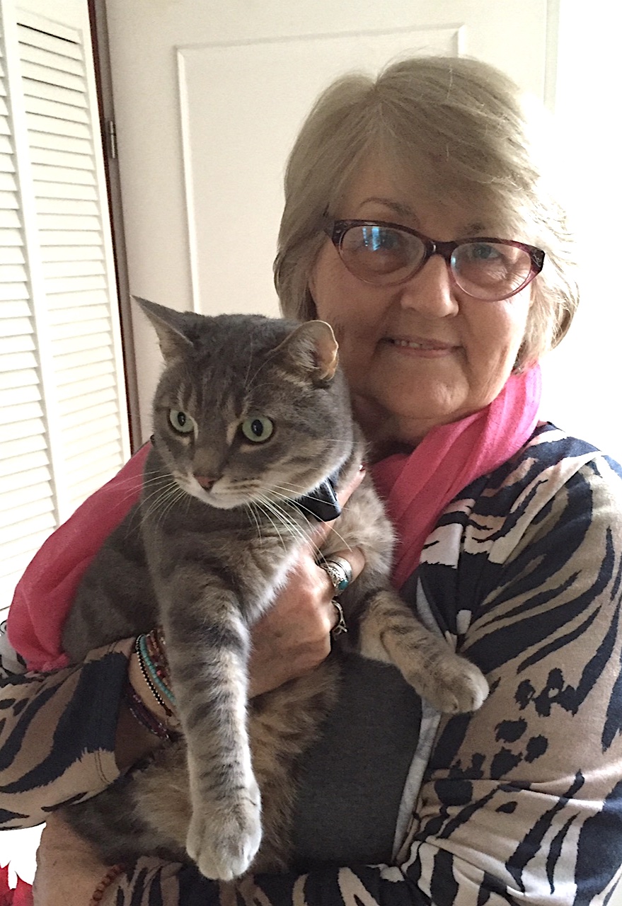 🏆 Cat Person of the Month: Louise Holton - MewlaYoung.com